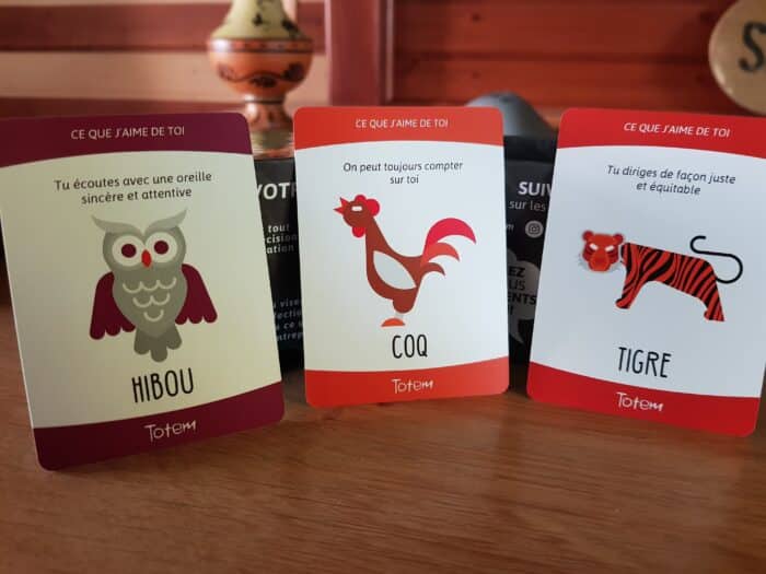 Avis complet | Totem, le jeu de société du bien être | LCDG